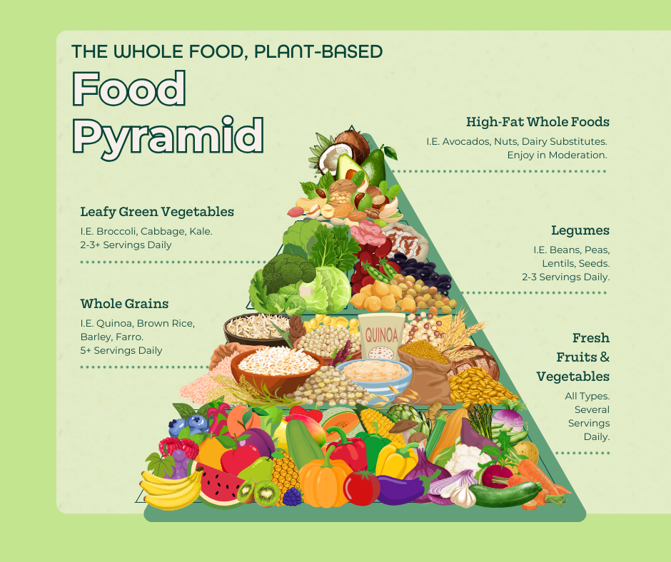 The Whole Food Plant-Based Food Pyramid: A Guide to Optimal Nutrition ...