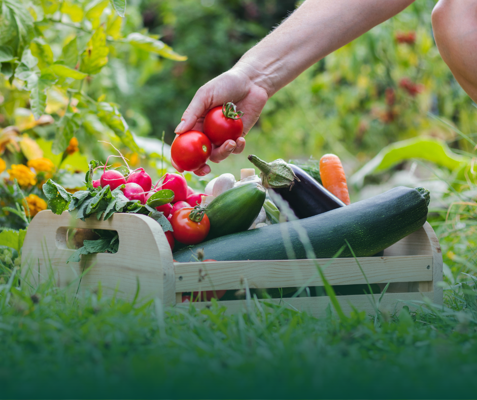 Spring Produce Guide: What’s In Season and How to Enjoy It – Sweet Pea ...