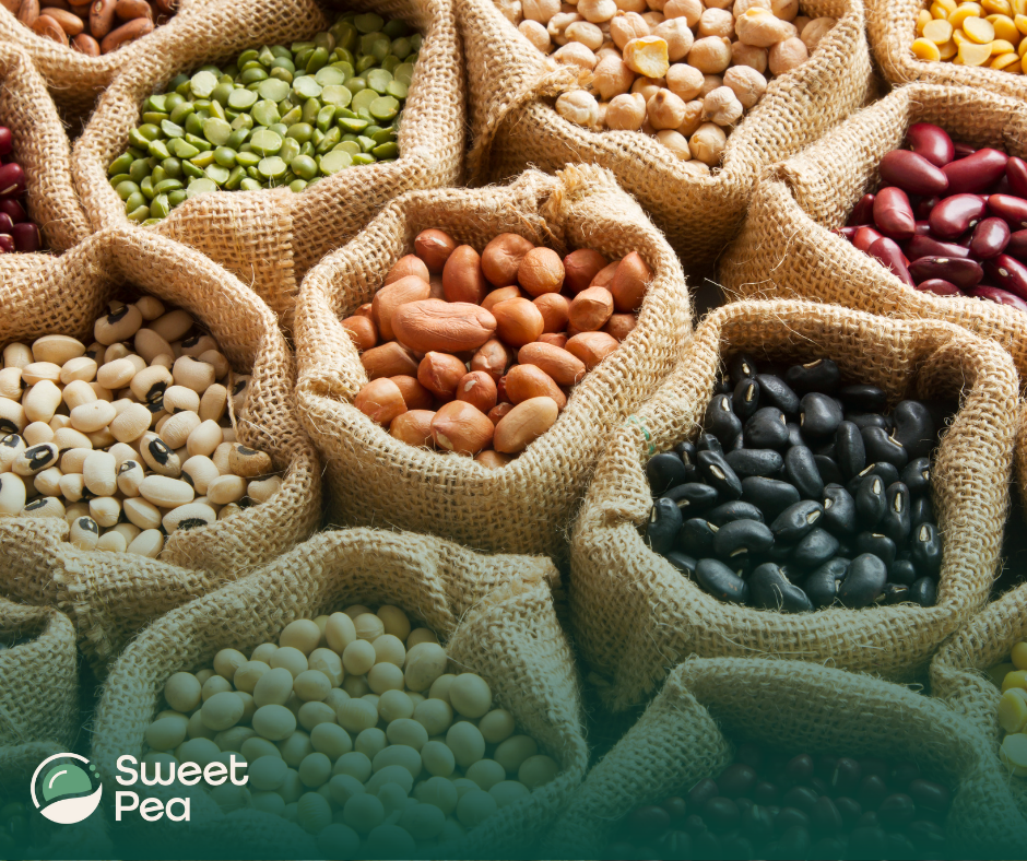 The Power of Beans: Nourishing Your Body with Legumes – Sweet Pea Plant ...